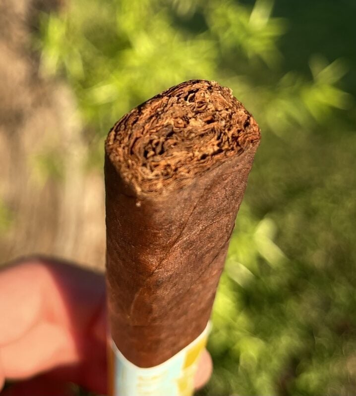 Blackbird Hawk Cigar Review | Flying Cigar Co