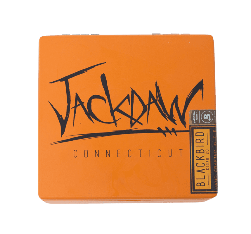 Blackbird Jackdaw | Flying Cigar Co